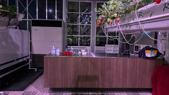 天井7.5mから苺が吊り下がる「苺空間」を多目的に利用可能。貸切パーティー、会議、TV映画撮影、料理スタジオ、フォト婚その他の写真17