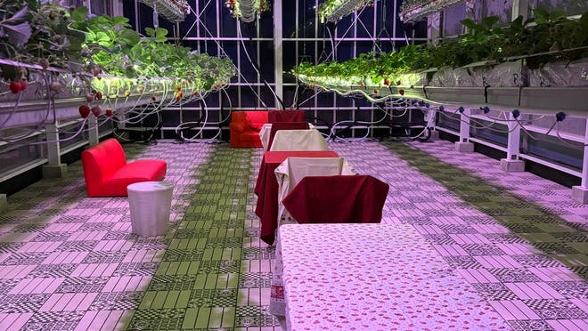 天井7.5mから苺が吊り下がる「苺空間」を多目的に利用可能。貸切パーティー、会議、TV映画撮影、料理スタジオ、フォト婚その他の写真19