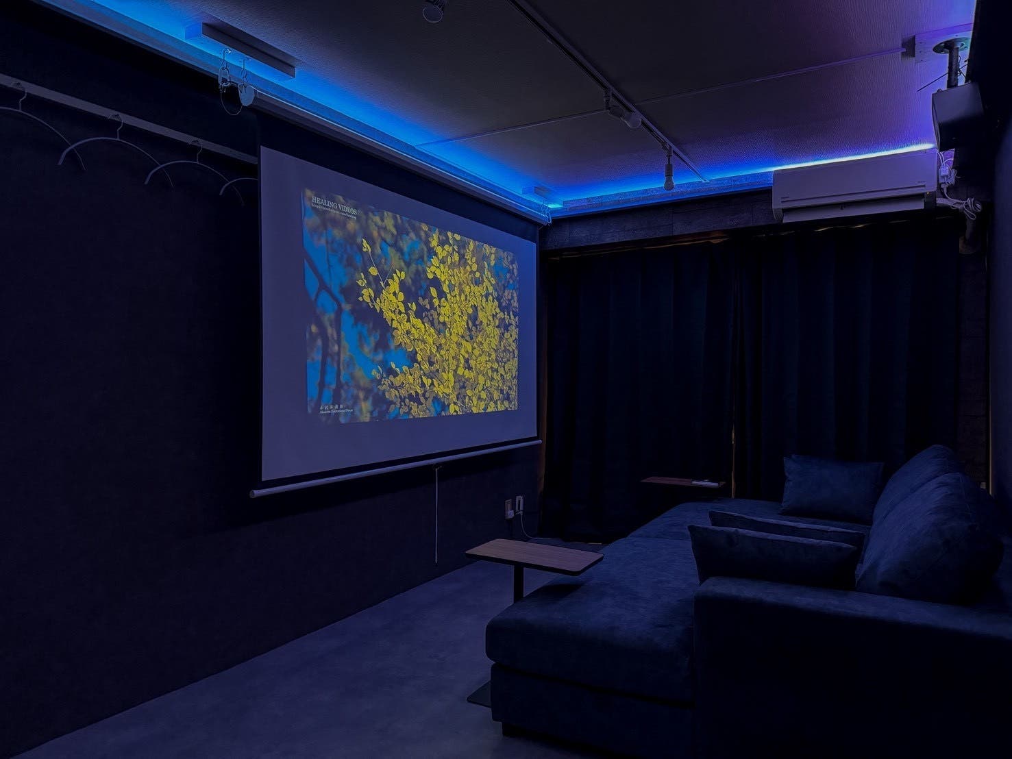 2月リニューアルOPEN✨池袋駅５分｜大型スクリーン｜24h｜DVDプレーヤー｜最大10名｜おうちシアター_404の写真1