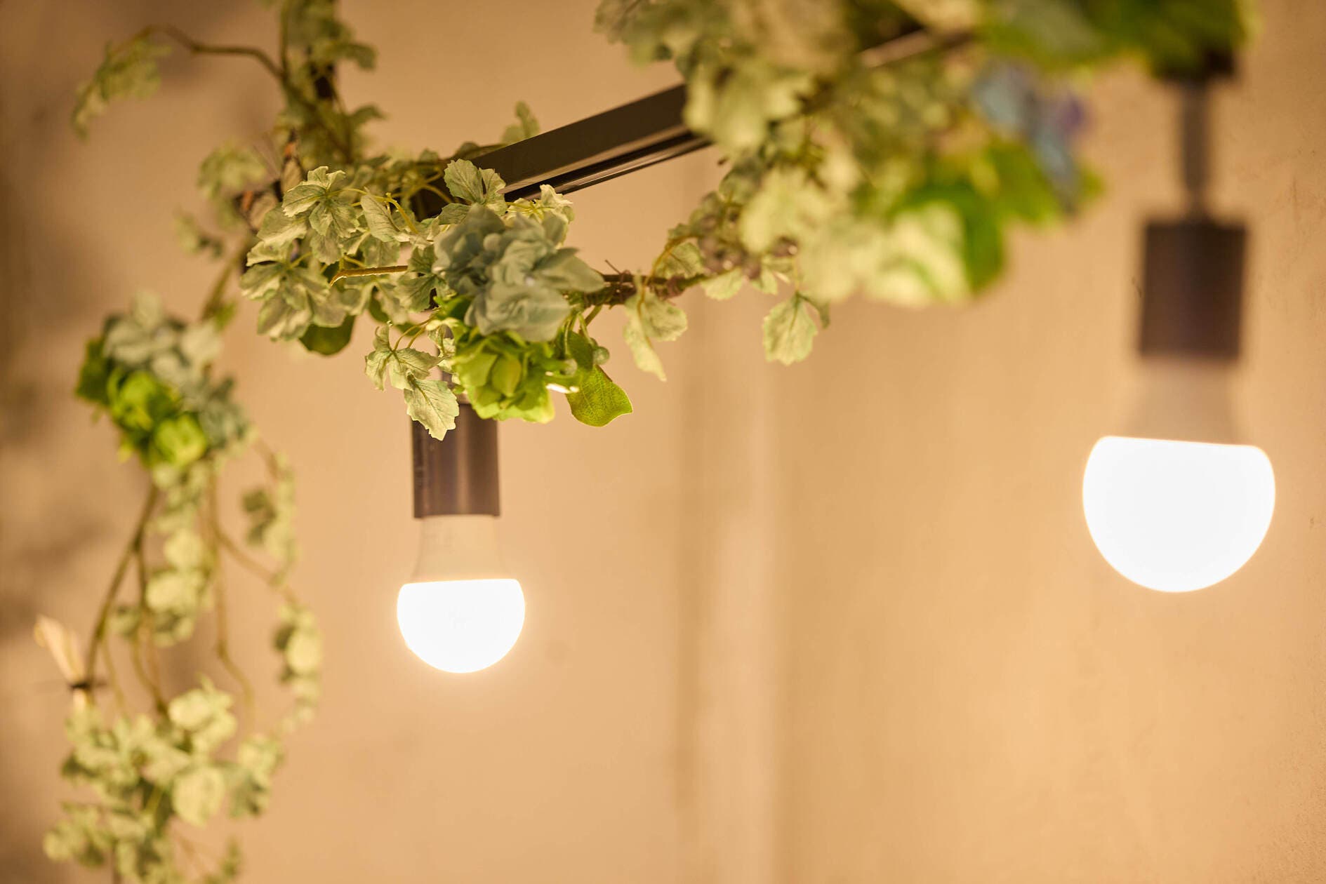 リノスペキッチン恵比寿202🍳花見・お鍋・手巻き寿司・デート・料理・ホームパーティ・飲み会・打ちあげ歓迎会・撮影収録・ビジネスの写真9