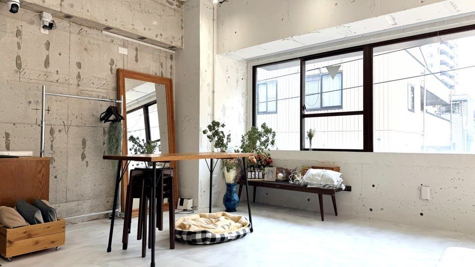 自然光の入る白壁の撮影スタジオ！ヘアセット用にシャワー室完備☆ペット撮影にも♪の写真12