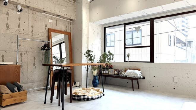 自然光の入る白壁の撮影スタジオ!ヘアセット用にシャワー室完備☆ペット撮影にも♪の写真12