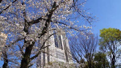 【西新宿五丁目駅 徒歩5分】お花見公園まで徒歩5分🌸BIZ交流会/セミナー◎バーカウンター/キッチン付き35名イベントスペースの写真3