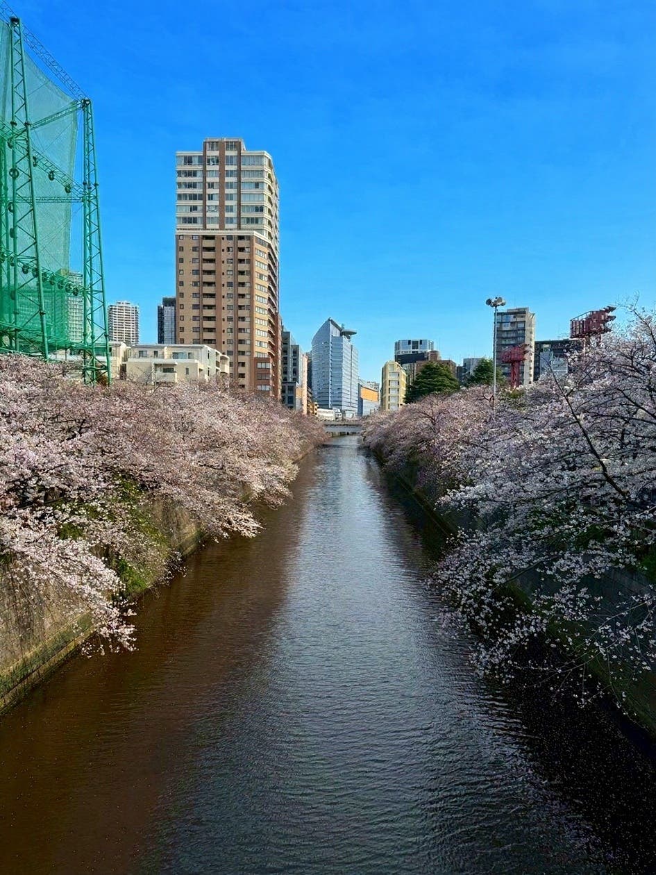 【暖炉のあるモダンなバー】目黒駅5分◆貸切パーティ/撮影/女子会/オフ会◆飲み放題ありの写真3