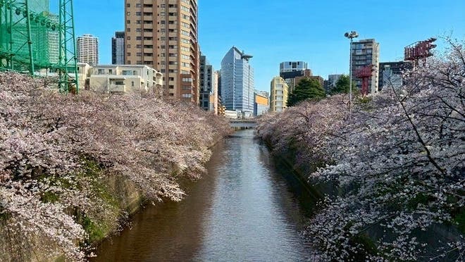 【暖炉のあるモダンなバー】目黒駅5分◆貸切パーティ/撮影/女子会/オフ会◆飲み放題ありの写真3