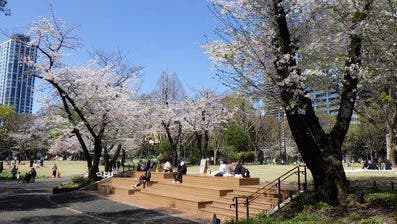【西新宿五丁目駅 徒歩5分】お花見公園まで徒歩5分🌸20-50名イベント/セミナースペースの写真2