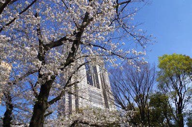 【西新宿五丁目駅 徒歩5分】お花見公園まで徒歩5分🌸20-50名イベント/セミナースペースの写真3