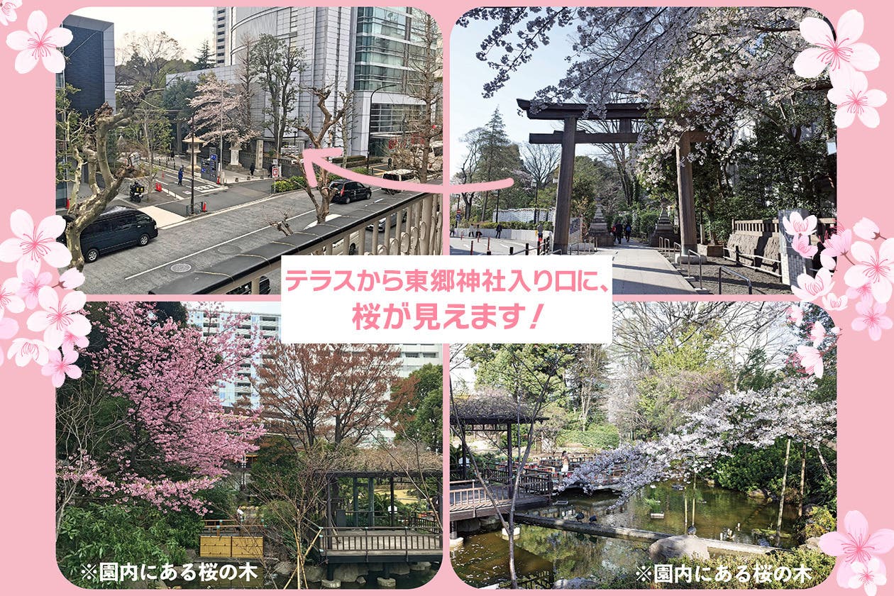 3月選べる無料♡【フランス産シャンパン1本🍾 or 生ビール5ℓ樽🍺】テラス付きカフェスペース・BBQ可🍖原宿の超好立地♡の写真3