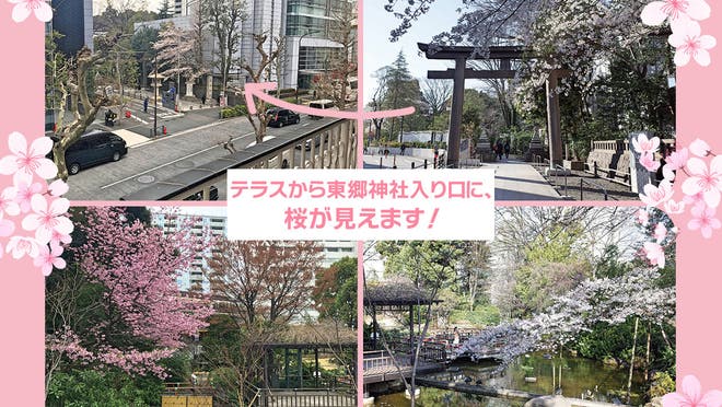 3月選べる無料♡【フランス産シャンパン1本🍾 or 生ビール5ℓ樽🍺】テラス付きカフェスペース・BBQ可🍖原宿の超好立地♡の写真3