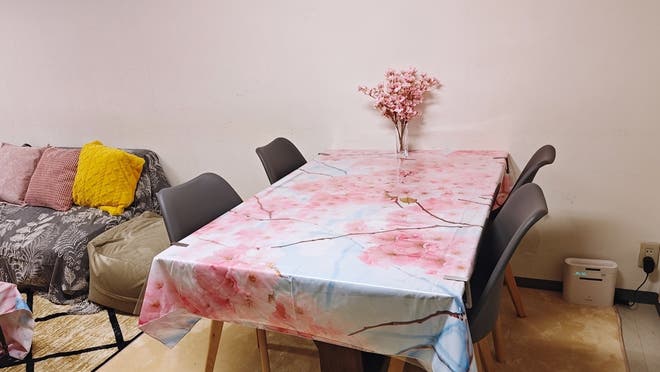 🌸インドア花見 📺55型4Kテレビ+Blu-rayプレーヤー 🚶渋谷駅徒歩3分🚶女子会/ママ友会/撮影/の写真6