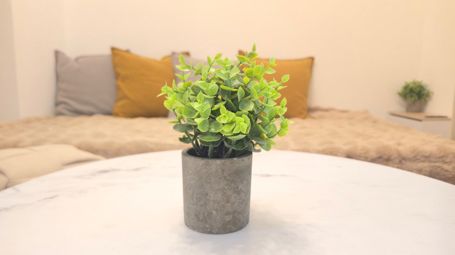 【元町駅スグ】ちいさなお部屋💕大きなときめき✨特別な空間でデート/推し活/女子会🎉の写真12