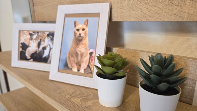 【元町駅スグ】ちいさなお部屋💕大きなときめき✨特別な空間でデート/推し活/女子会🎉の写真4