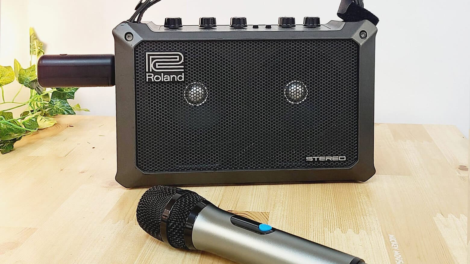 【オプション】マイクレンタル(1本)の画像2