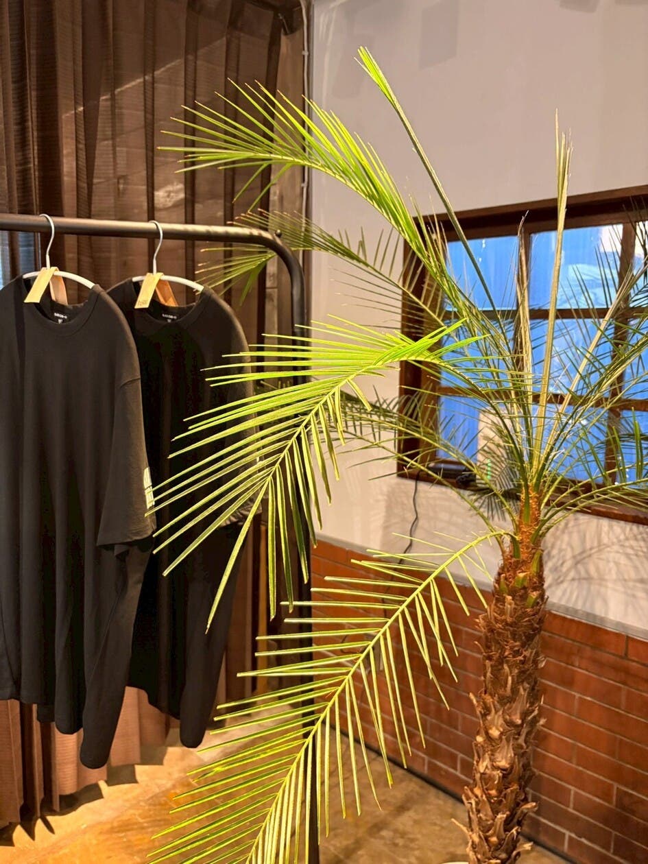 【六町駅 車5分】ロケ・YouTube・スタジオ撮影📸商品撮影・物撮り・ポートレート🌟MV・PV🍃女子会・交流会✨の写真9