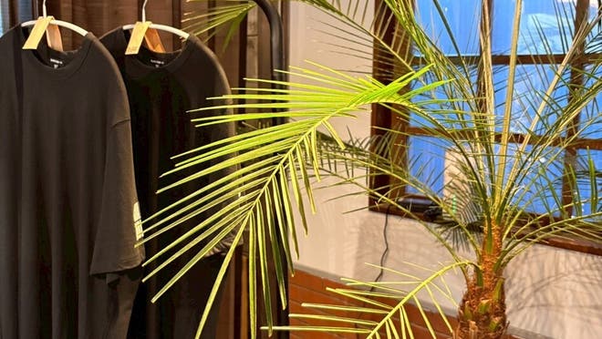 【六町駅 車5分】ロケ・YouTube・スタジオ撮影📸商品撮影・物撮り・ポートレート🌟MV・PV🍃女子会・交流会✨の写真9