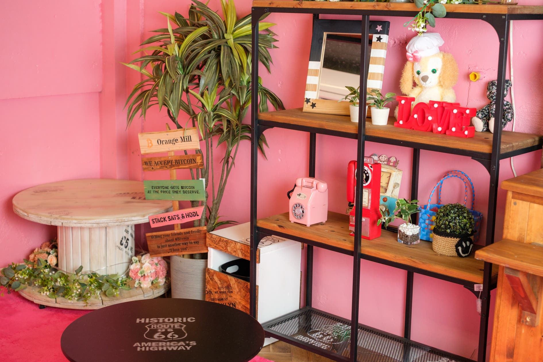 天然木の温もり溢れるアメリカンテイスト撮影スタジオの写真15