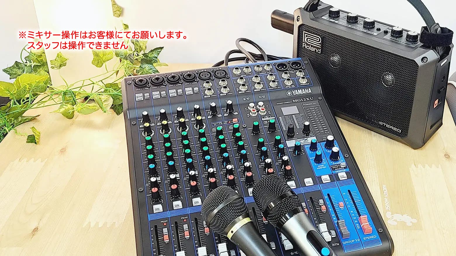 【オプション】サウンドミキサー付マイクレンタル(2本)の画像1