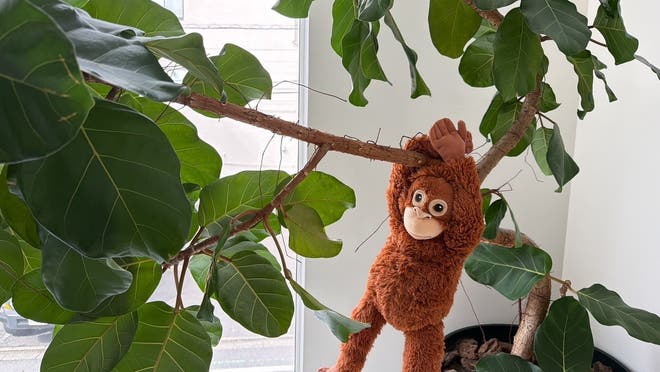 中目黒で大人気‼︎house studioスペシャルプラン‼︎駐車場無料※早い者勝ちの写真16