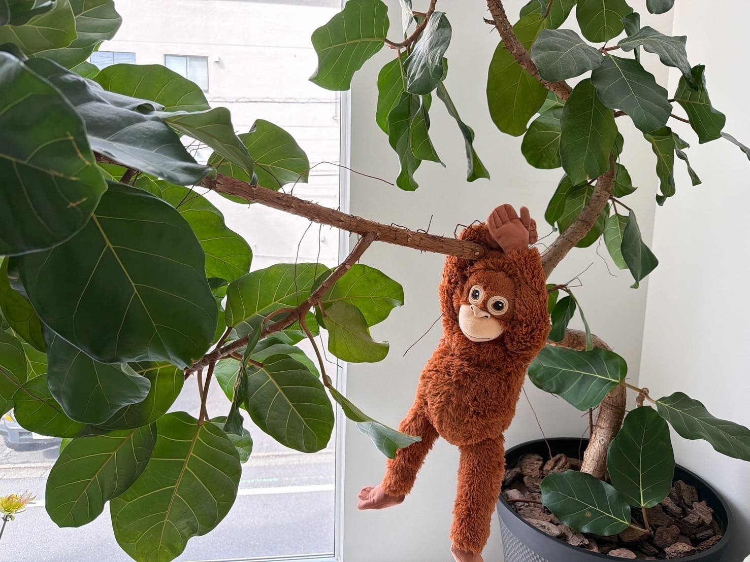 Mieleオーブン完備したオシャレキッチンスタジオの写真28