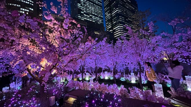 NRS01🎉新年会🍿ポップコーンサービス無料💕おうちデート💕女子会💕誕生日会💕映画鑑賞💕推し活の写真3