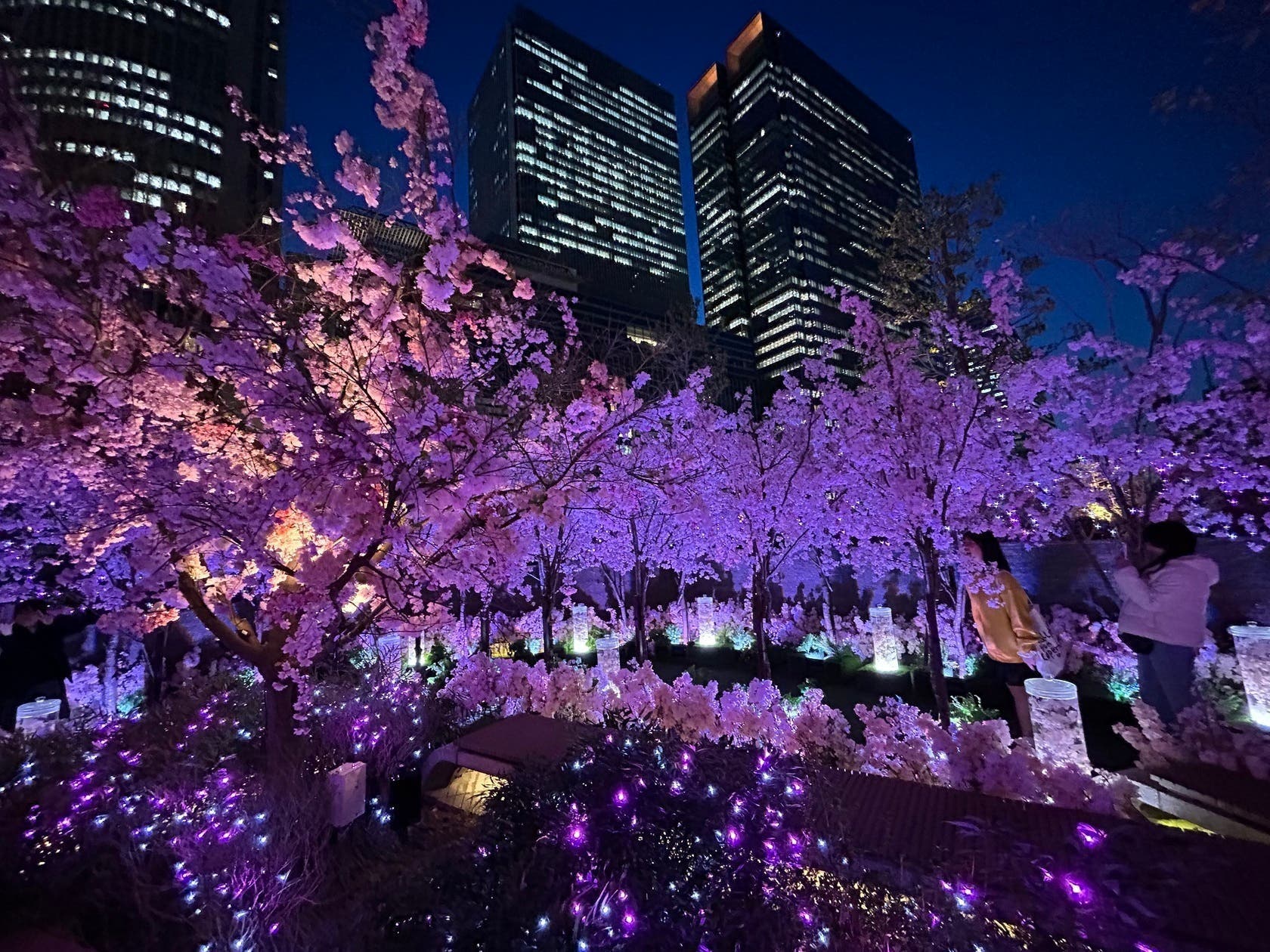 NRS02🐼パンダに会えるスペース💕おうちデート💕女子会💕誕生日会💕映画鑑賞💕推し活の写真3