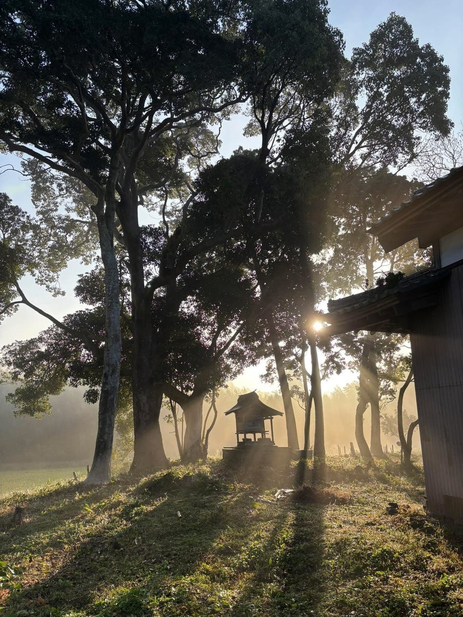 のんびりした外房の田舎の豪邸古民家の写真9