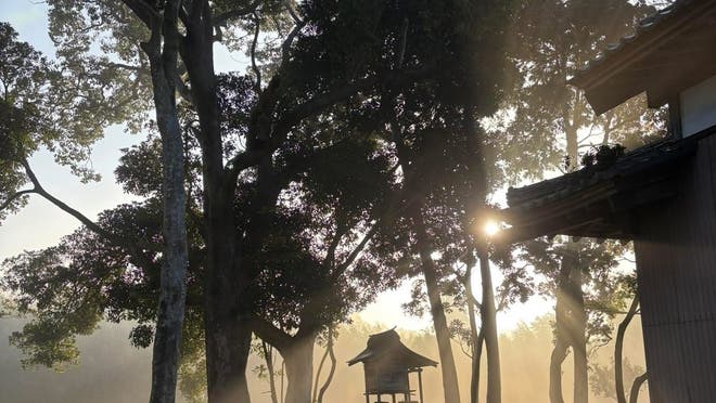 のんびりした外房の田舎の豪邸古民家の写真9