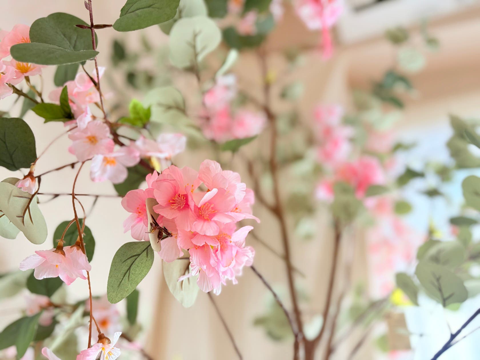 🚃新宿西口駅🚶3分🌸お花見🌸🥇認定🍿ポップコーン🍿コーヒー☕️🆓100㌅ｽｸﾘｰﾝ🎬撮影配信📡🆗ゴミ🆓の写真2