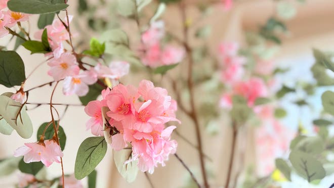 🚃新宿西口駅🚶3分🌸お花見🌸🥇認定🍿ポップコーン🍿コーヒー☕️🆓100㌅スクリーン🎬撮影配信📡🆗ゴミ🆓の写真2