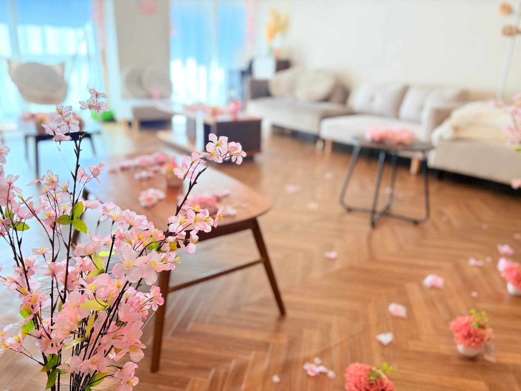 🚃新宿西口駅🚶3分🌸お花見🌸🥇認定🍿ポップコーン🍿コーヒー☕️🆓100㌅ｽｸﾘｰﾝ🎬撮影配信📡🆗ゴミ🆓の写真4