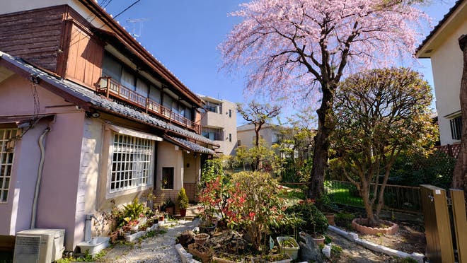 【若宮苑】🌸室内花見OK・中野区・新宿・駅近3分|配信・イベント・SNS・Tiktok・ペット可・庭付き・テラスの写真5