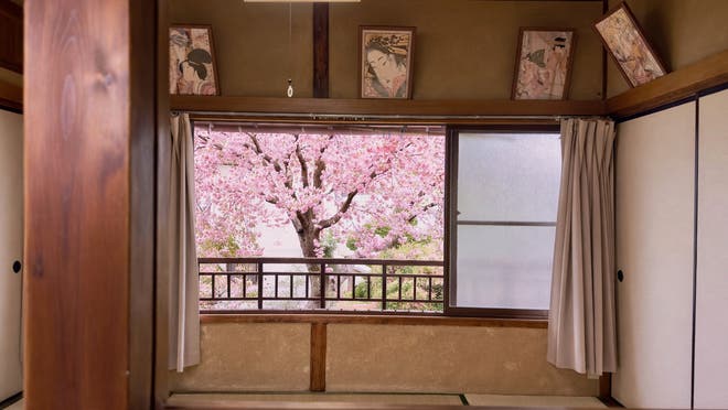 【若宮苑】🌸室内花見OK・中野区・新宿・駅近3分|配信・イベント・SNS・Tiktok・ペット可・庭付き・テラスの写真2