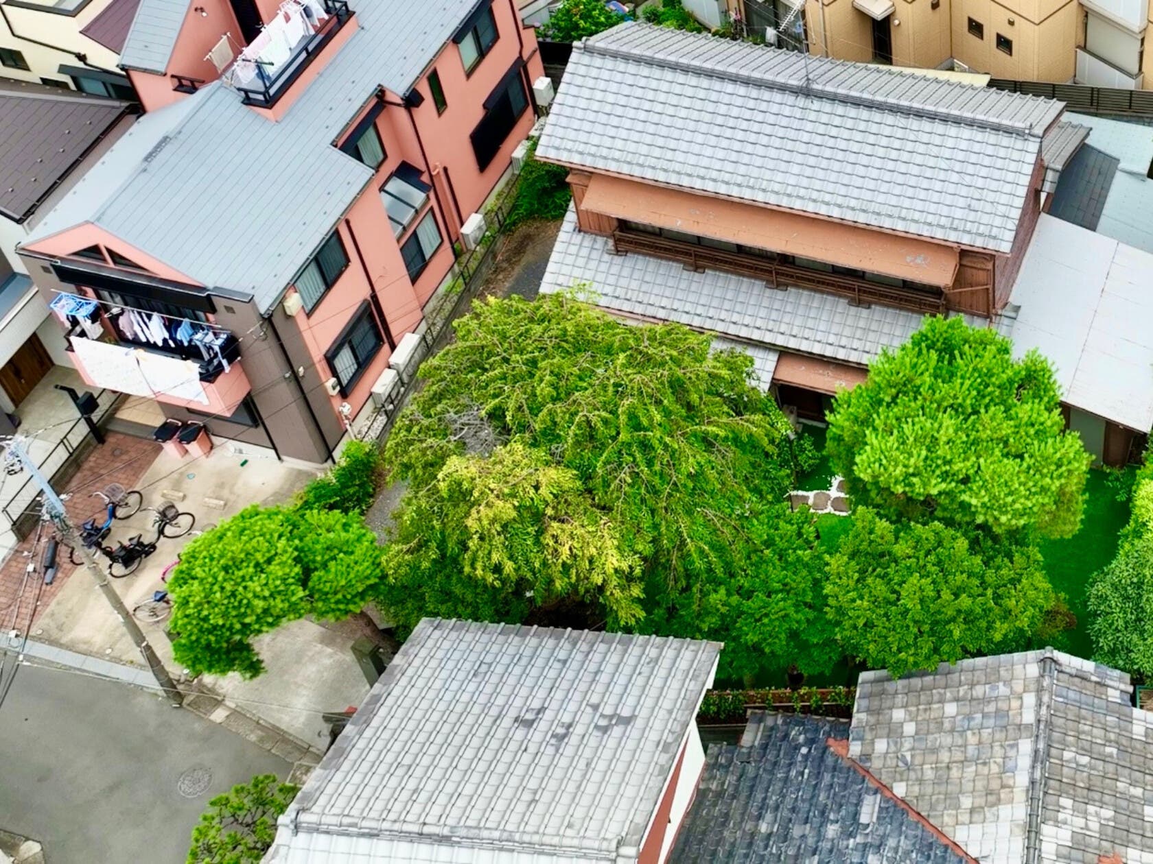 【若宮苑】🌸室内花見OK・中野区・新宿・駅近3分｜配信・イベント・SNS・Tiktok・ペット可・庭付き・テラスの写真9