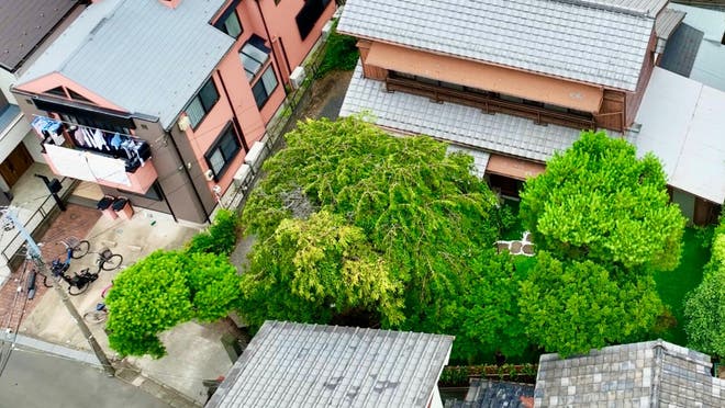 【若宮苑】🌸室内花見OK・中野区・新宿・駅近3分|配信・イベント・SNS・Tiktok・ペット可・庭付き・テラスの写真9