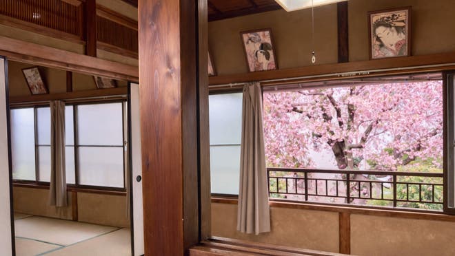 【若宮苑】🌸室内花見OK・中野区・新宿・駅近3分|配信・イベント・SNS・Tiktok・ペット可・庭付き・テラスの写真26