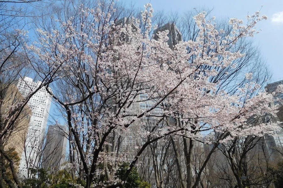 【レビュー割🌸】GOZAR西新宿｜西新宿駅2分｜🎉貸切パーティー&ボードゲーム&ビジネス会議🎉の写真4