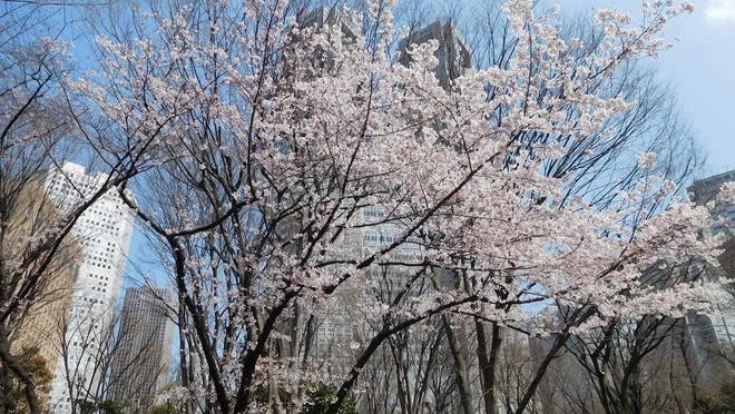 【レビュー割🌸】GOZAR西新宿|西新宿駅2分|🎉貸切パーティー&ボードゲーム&ビジネス会議🎉の写真4