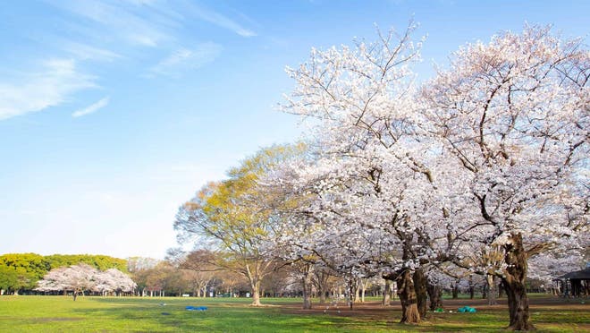 【レビュー割🌸】GOZAR会議室 代々木八幡DENGEN|代々木八幡駅2分|🎤セミナー・会議に最適🎉の写真4