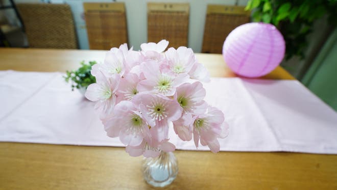 上前津5分、🌸鶴舞公園8分 インドア花見、100インチ推し会🎂お誕生日📷コスプレ🎬シネマデート🃏ボードゲームの写真28