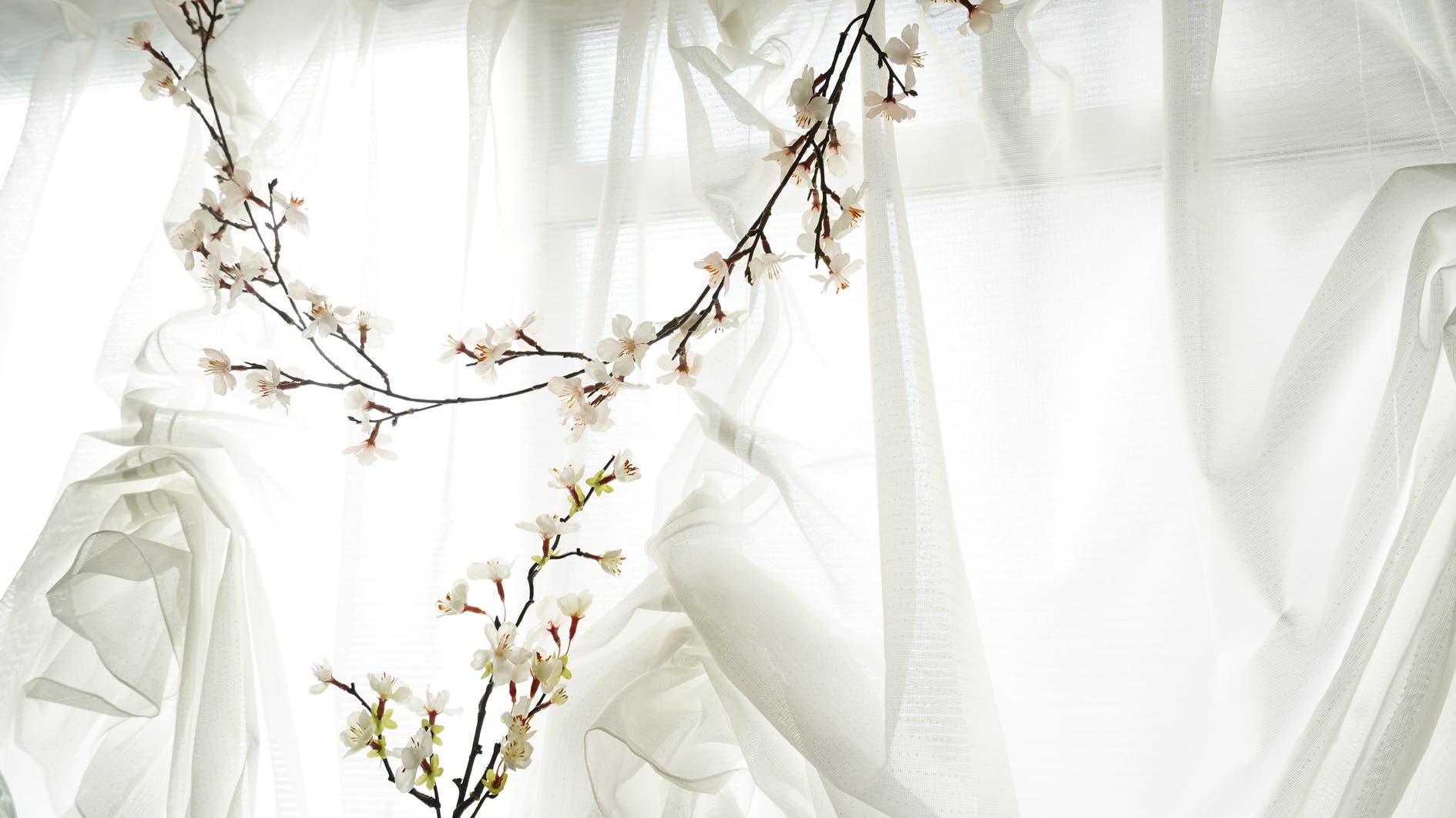 上前津５分、🌸鶴舞公園８分　インドア花見、100インチ推し会🎂お誕生日📷コスプレ🎬シネマデート🃏ボードゲームの写真25