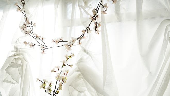 上前津5分、🌸鶴舞公園8分 インドア花見、100インチ推し会🎂お誕生日📷コスプレ🎬シネマデート🃏ボードゲームの写真25