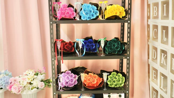 リニューアルOPEN❤︎White Plus🤍維持管理費無料❣️伏見駅6分⭐️姫系スタジオ!生誕祭!推活!ポトレ!コスプレ!の写真2