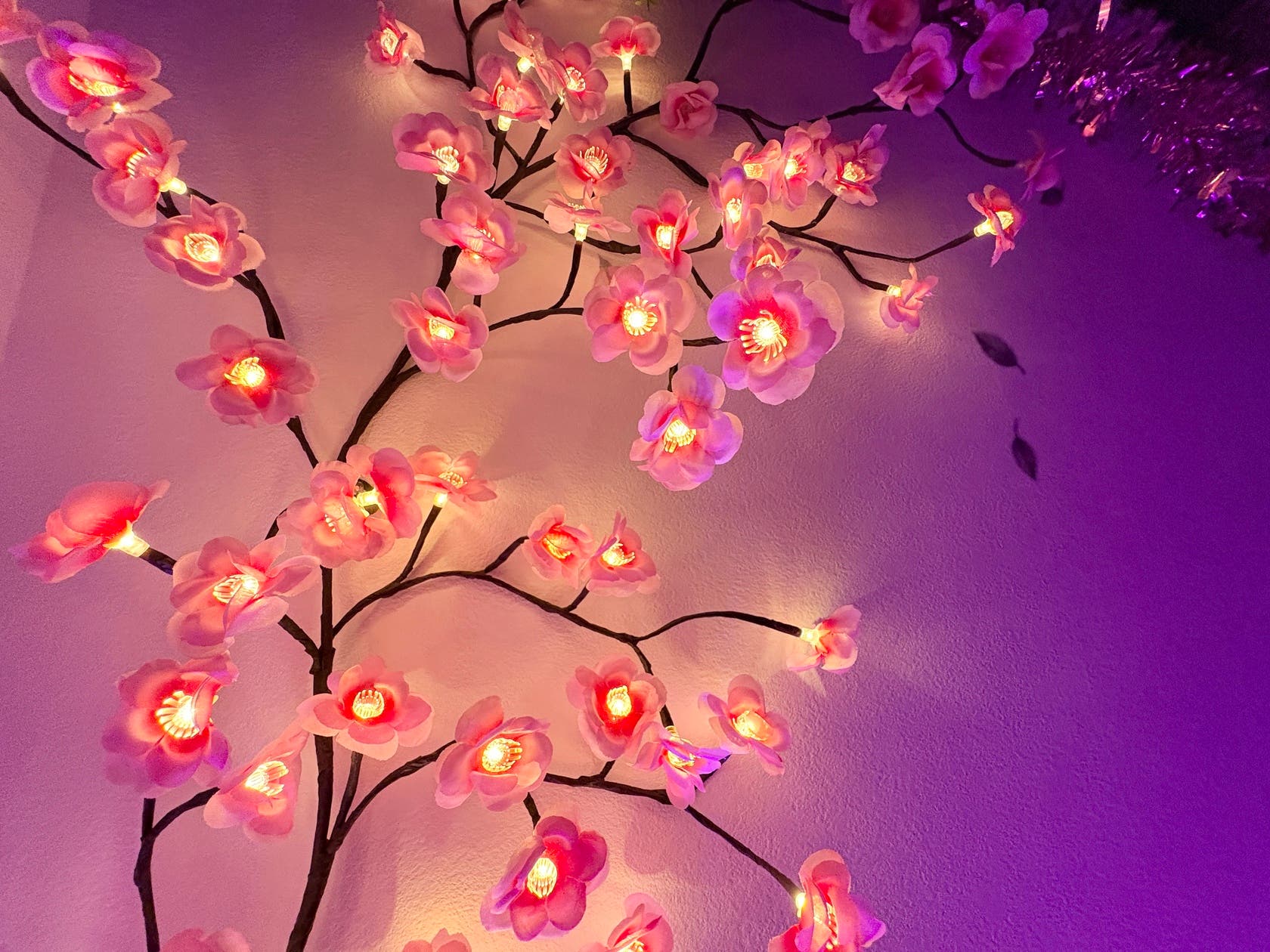 ㊗️インドアお花見開催中㊗️いりなか駅スグの最上階❣️室内フルリフォーム済✨dyson空気清浄&加湿器で清潔空間🤩の写真2