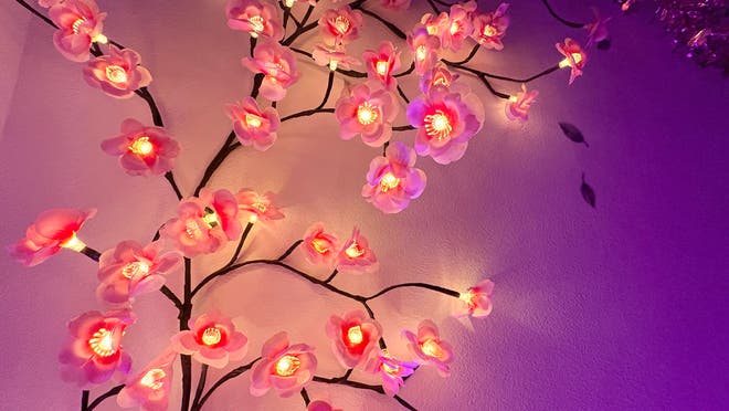 ㊗️インドアお花見開催中㊗️いりなか駅スグの最上階❣️室内フルリフォーム済✨dyson空気清浄&加湿器で清潔空間🤩の写真2