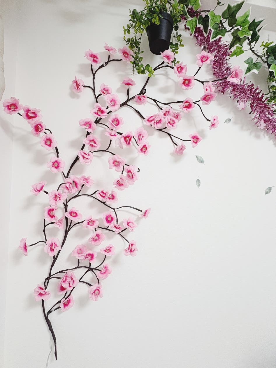 ㊗️インドアお花見開催中㊗️いりなか駅スグの最上階❣️室内フルリフォーム済✨dyson空気清浄&加湿器で清潔空間🤩の写真5