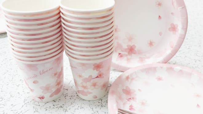 ㊗️インドアお花見開催中㊗️いりなか駅スグの最上階❣️室内フルリフォーム済✨dyson空気清浄&加湿器で清潔空間🤩の写真6