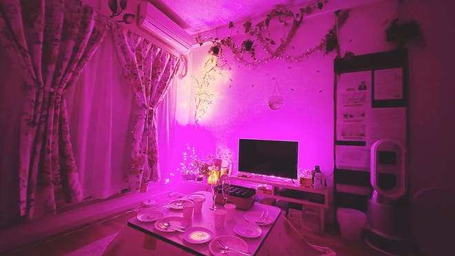 ㊗️インドアお花見開催中㊗️いりなか駅スグの最上階❣️室内フルリフォーム済✨dyson空気清浄&加湿器で清潔空間🤩の写真1