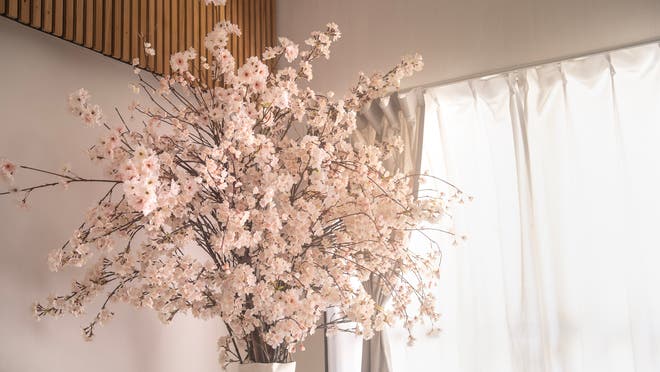 スペモ🌿インドア花見🌸プロジェクター🎬パーティー✨️ママ会🍳女子会💖映画鑑賞🎮打ち上げ🍺200_Oasis大久保の写真4