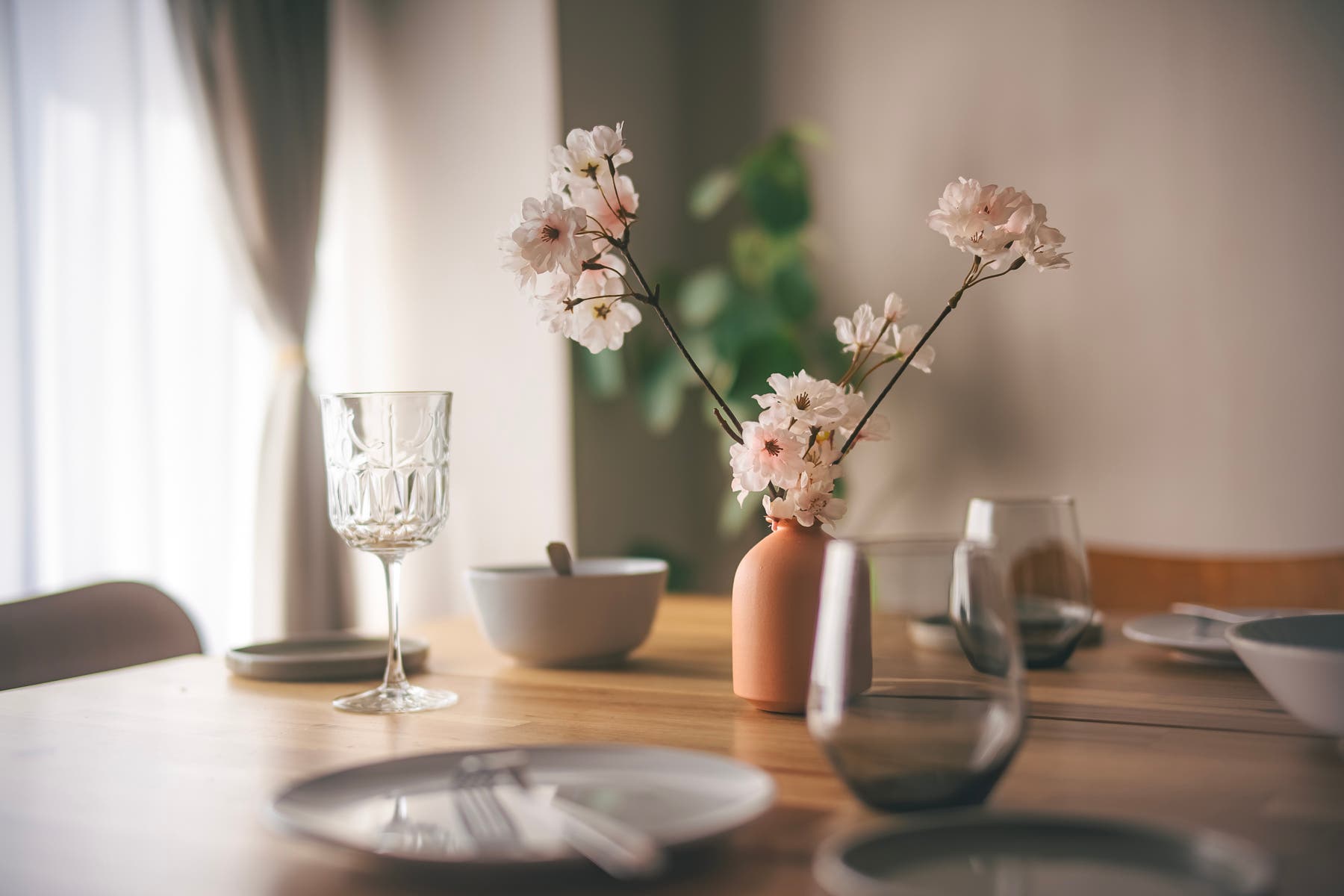 スペモ🌿インドア花見🌸プロジェクター🎬パーティー✨️ママ会🍳女子会💖映画鑑賞🎮打ち上げ🍺200_Oasis大久保の写真13