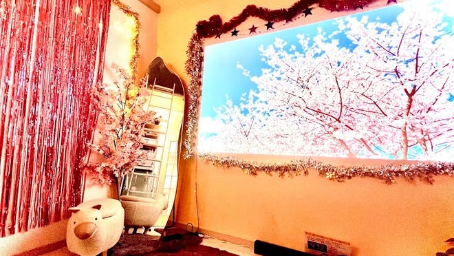 🏠Mare西荻窪202🌸インドア花見🌸🌟4K100㌅プロジェクター🎬|推し活|女子会|の写真1